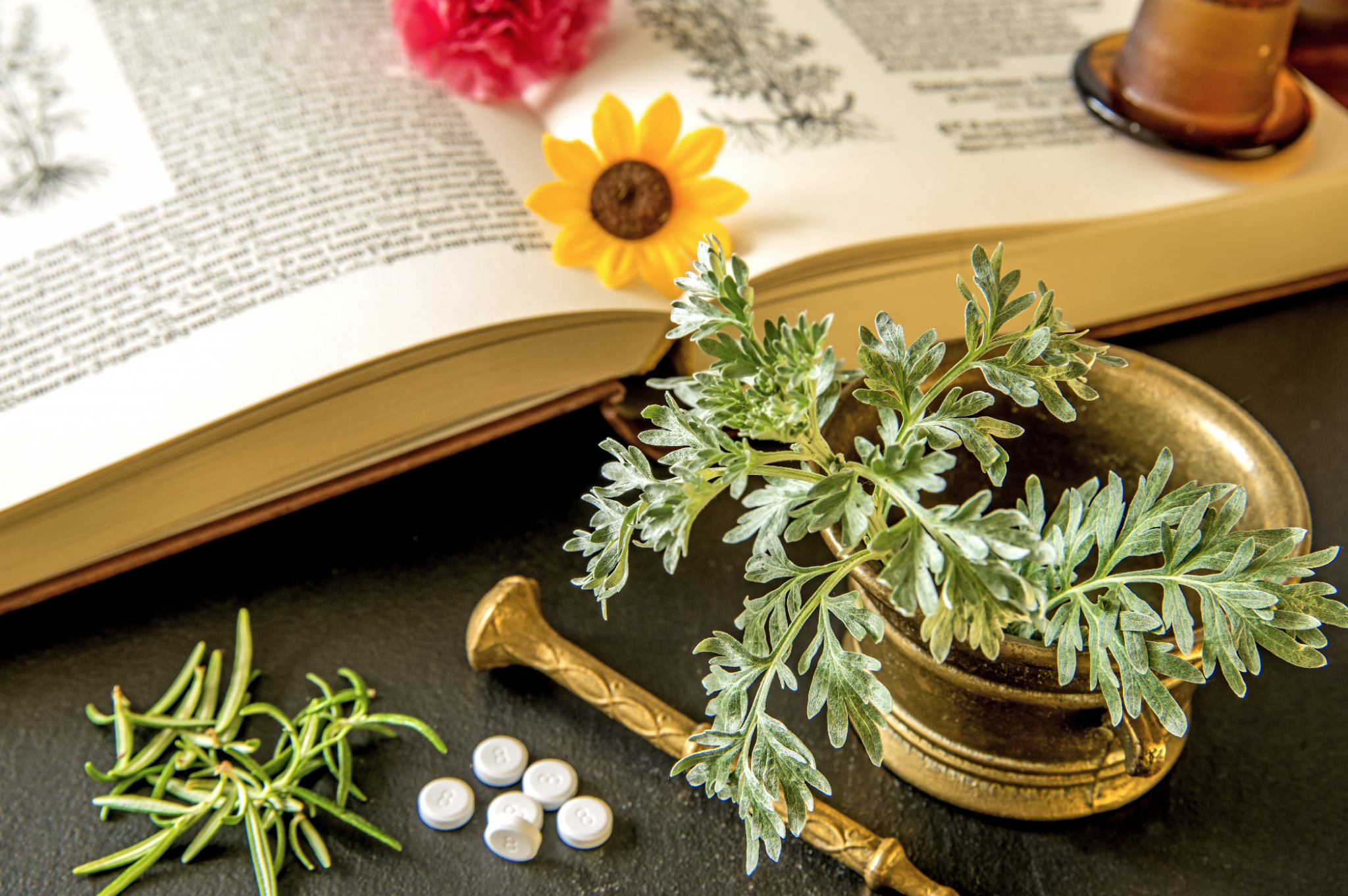 Naturopathic Doctor Program – The School of Naturopathy